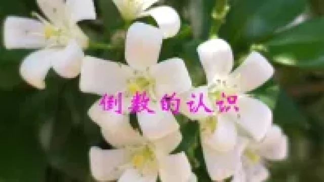 人教版六年级数学上册 3.1倒数的认识