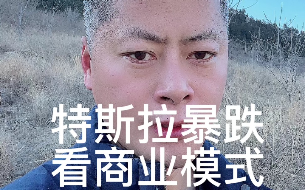 特斯拉暴跌看商业模式
