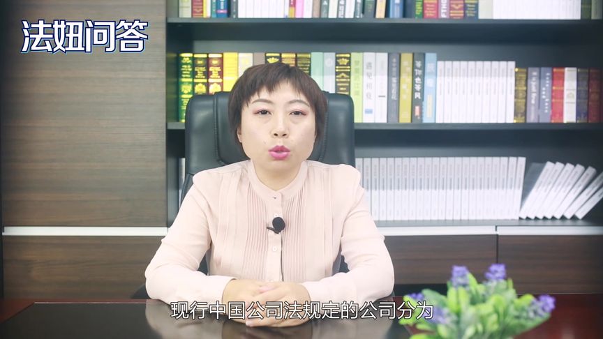 公司的类型有哪些