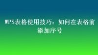WPS表格使用技巧: 如何在表格前添加序号?