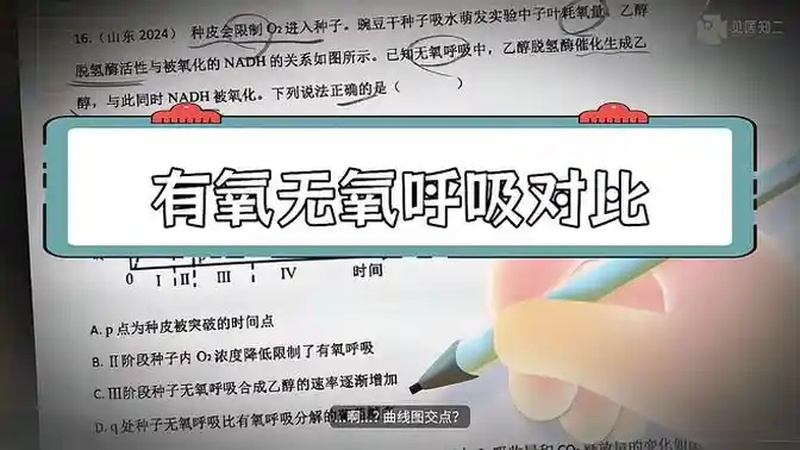 细胞呼吸曲线图解析:氧气与二氧化碳的关系
