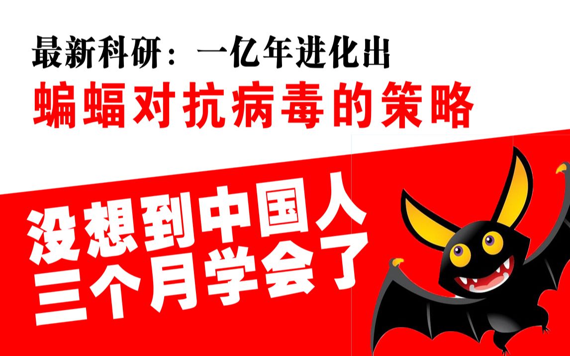 最新研究:蝙蝠一亿年进化出对抗病毒的三大策略,中国三个月搞定