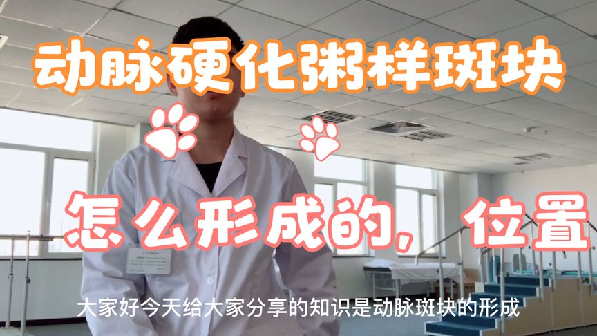 动脉硬化粥样斑块位置在哪?如何形成