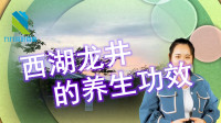 西湖龙井的养生功效 你知道多少