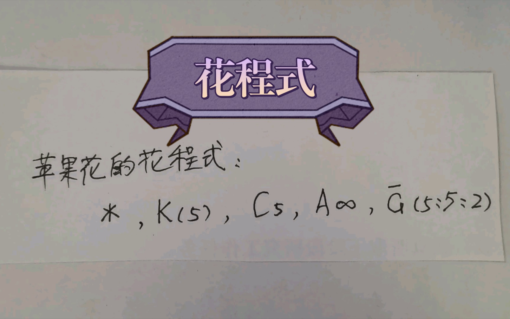 【花程式】表达 书写 含义(高中生和大学生看过来)超详细,一看就懂,...
