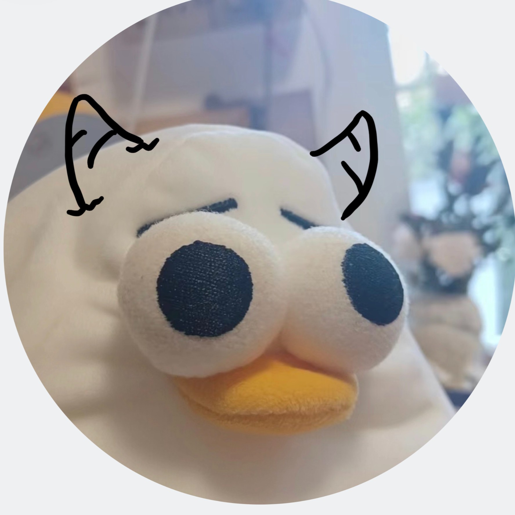 408小牛学长 