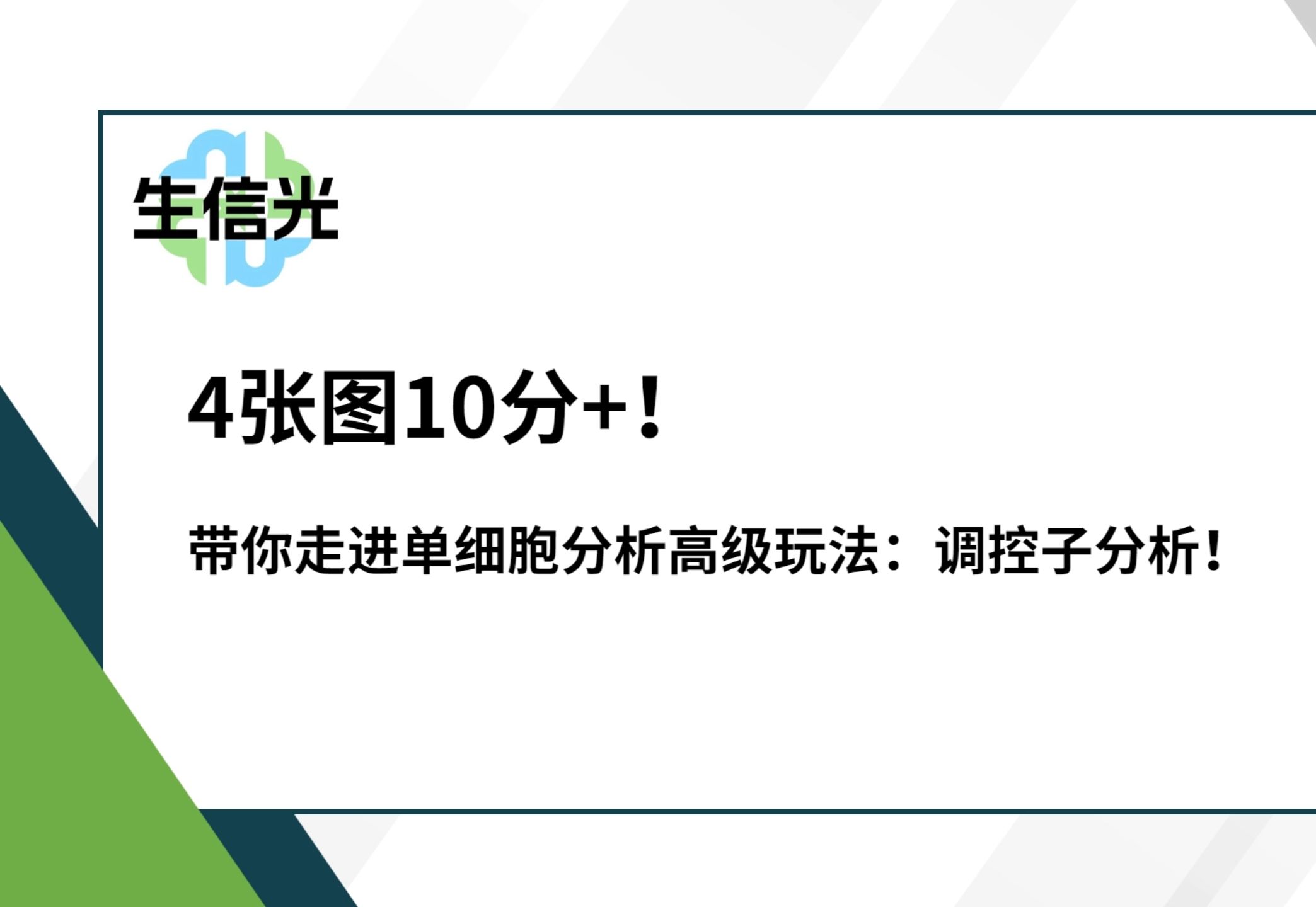 4张图10分+!带你走进单细胞分析高级玩法:调控子分析!