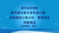 ...单元知识点2制作横向复式条形统计图,并根据统计图分析 整理信息 T2
