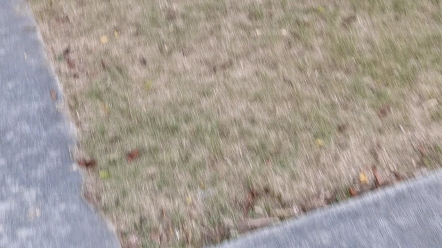 美容院刷爆了好几张信用卡,花费20万,怎么样可以退回来