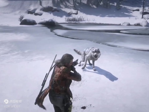 《荒野大镖客2》雪山狼群,刺激冒险大揭秘!