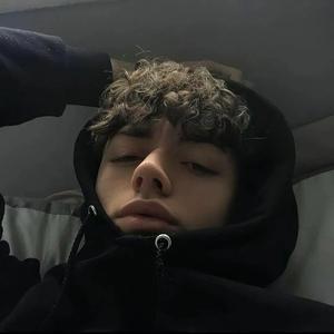 大白杨电影 