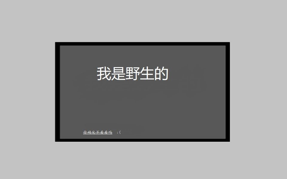 我们的服务器启动了!