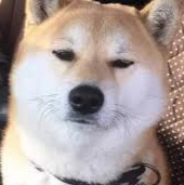 朱贫穷_ 
