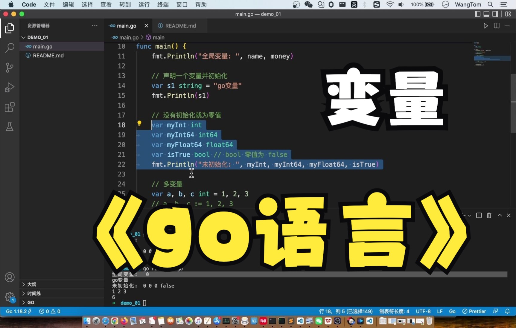 Go语言变量-代码