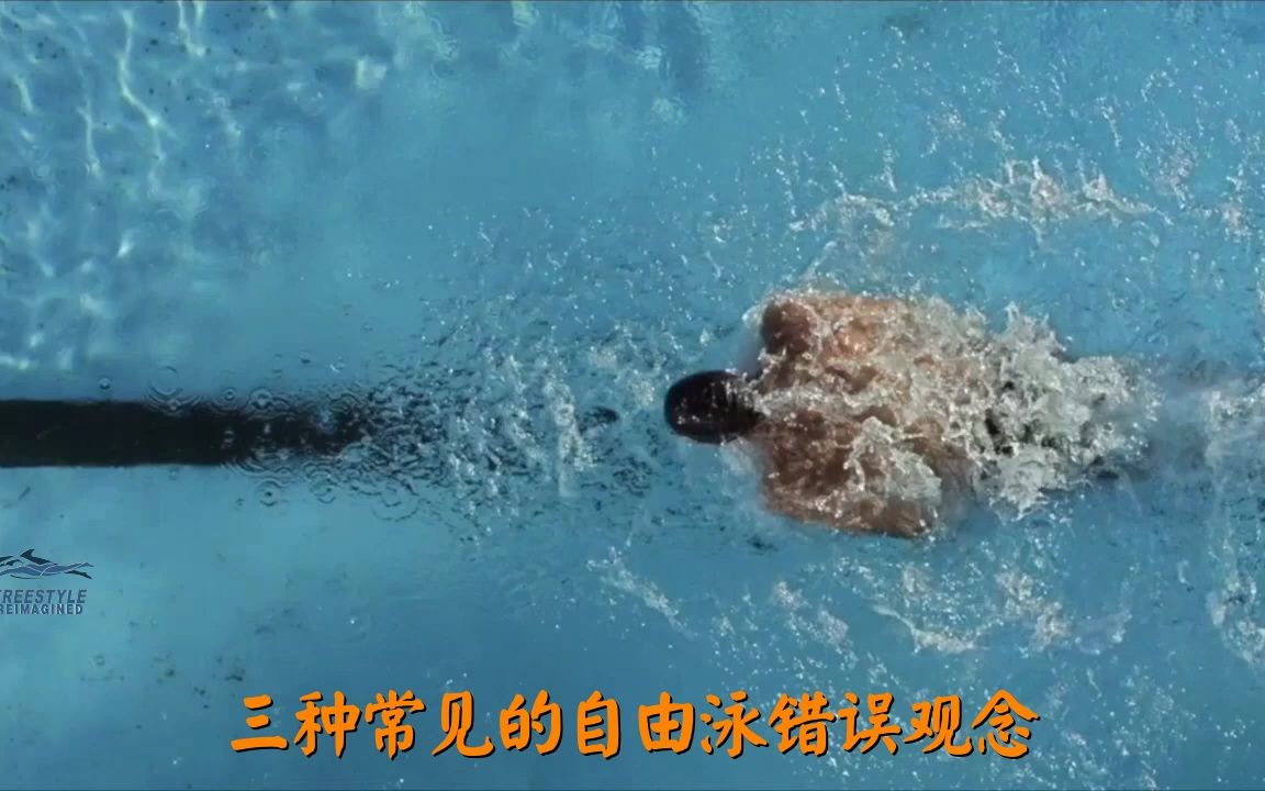 三个常见的自由泳错误概念-重构字幕组翻译出品