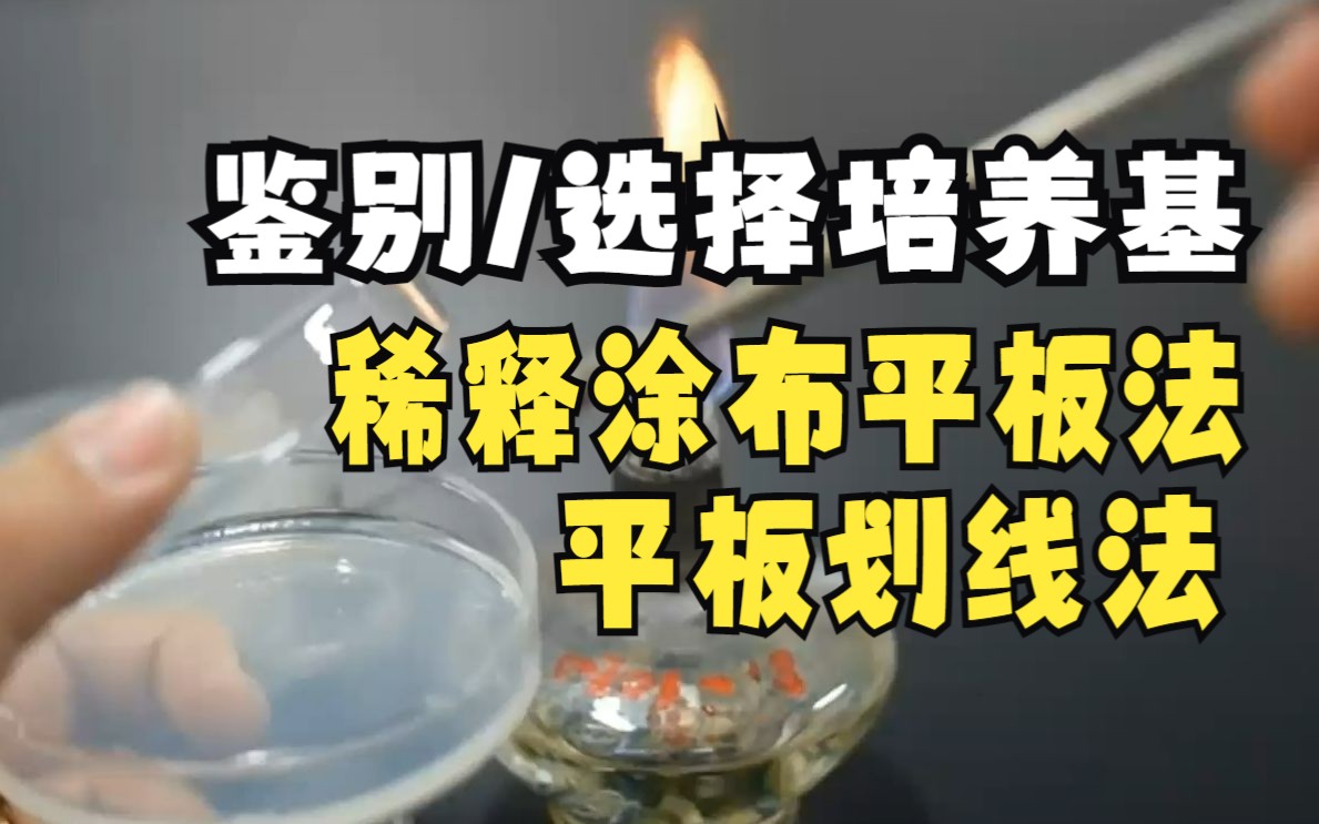 【高中生物选修一】5.平板划线法、稀释涂布平板法、鉴别、选择培养基
