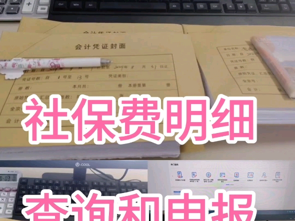 电子税务局社保明细查询申报操作流程会计新手学报税