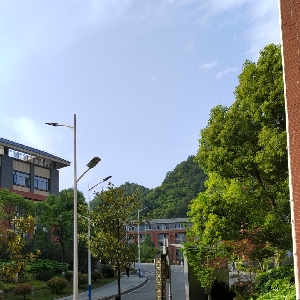 1128号落花生 