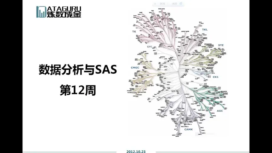 SAS入门视频教程12a