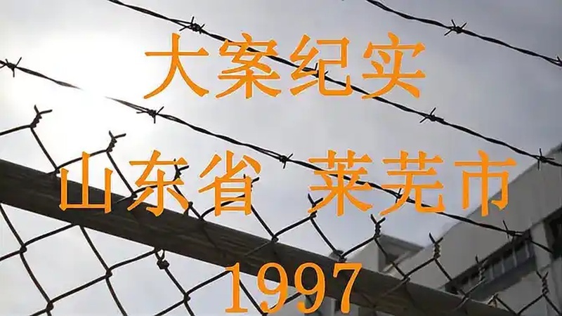 凶手跑了26年,还用不用判刑?大案纪实 真实案件 案件解说