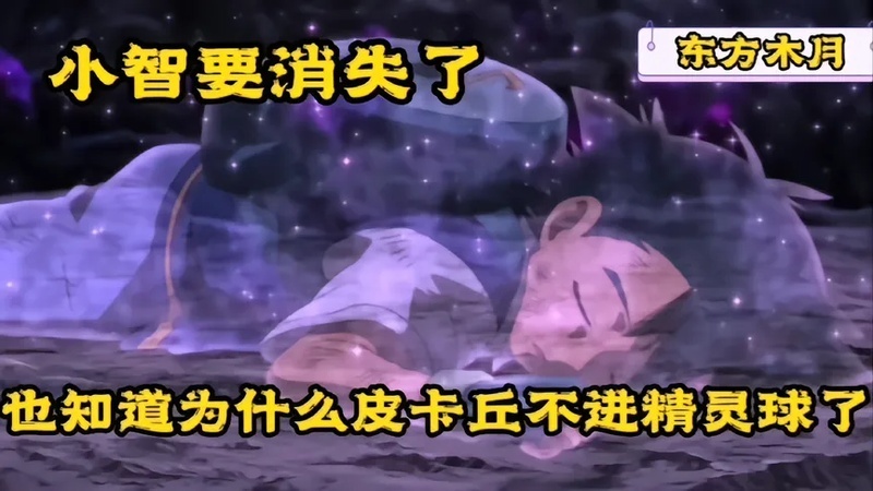 皮卡丘喜欢小智,小智会陪着皮卡丘
