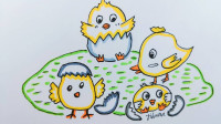 简笔画的鸡总是很萌,真实存在的鸡,你有见过萌的吗?