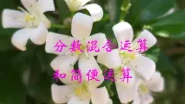 人教版六年级数学上册 1.6分数混合运算和简便运算