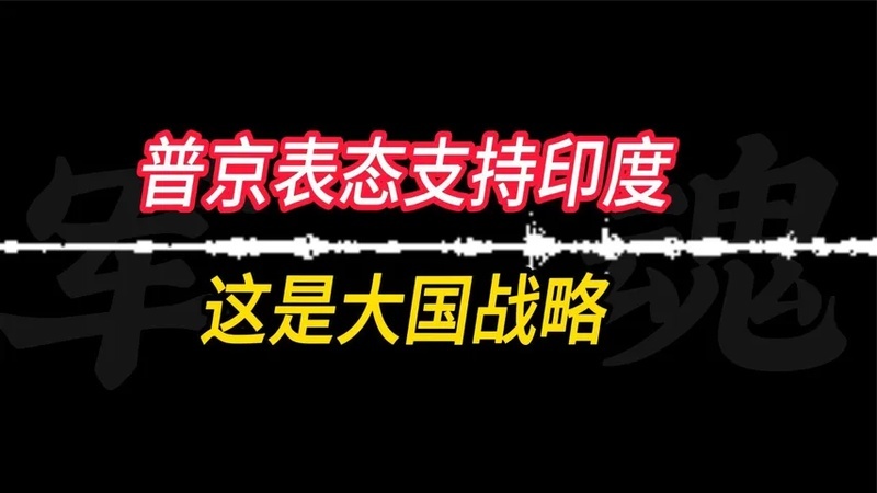 一起来听听这个时候普京表态支持印度,是大智慧!