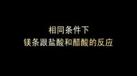 相同条件下镁条跟盐酸和醋酸的反应