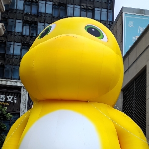 飓北风 