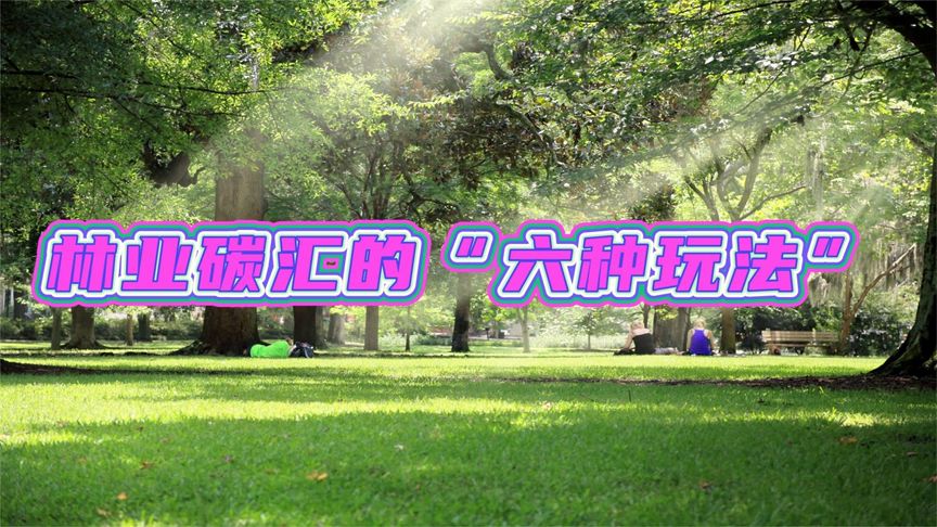 林业碳汇的“六种玩法”