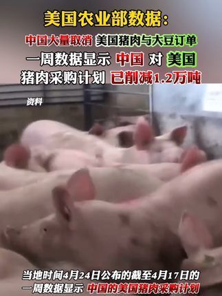 美国农业部数据:中国大量取消美国猪肉与大豆订单。一周数据显示,...