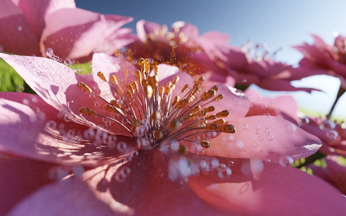 Blender 几何节点制作花卉动画教程 (中英文字幕)