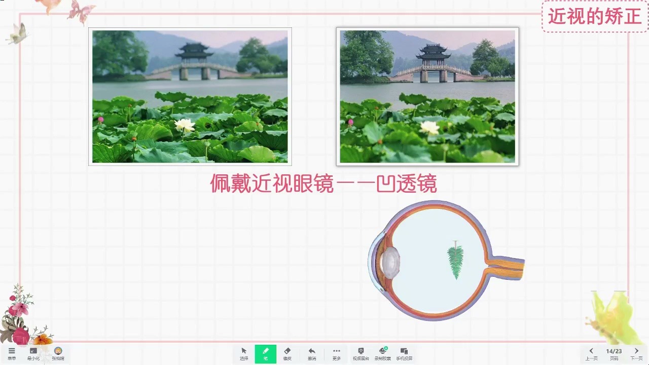初中生物 同课异构 人体对外界信息的感知 眼和视觉 跨校交流活动0510