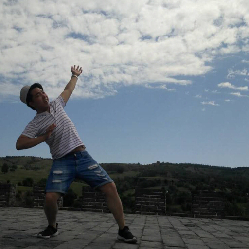 孤独的野狼disco 