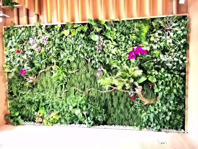 植物墙 一花一草一世界