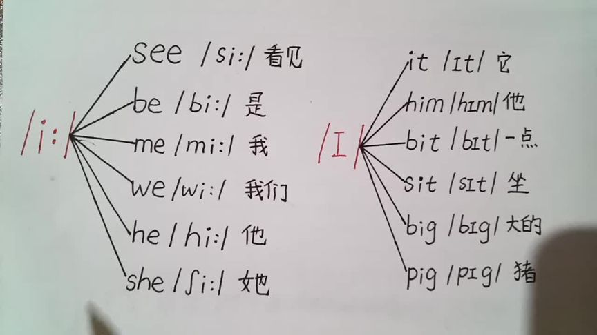 零基础学英语,48个国际音标发音教学(1)
