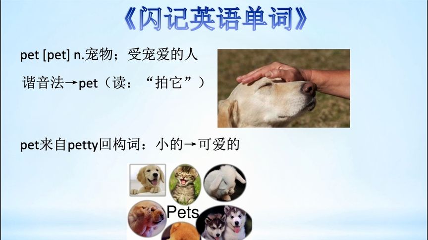《闪记中考1600词》—pet宠物
