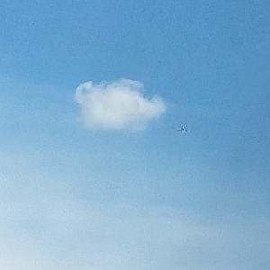 一路向前-勇敢追梦 