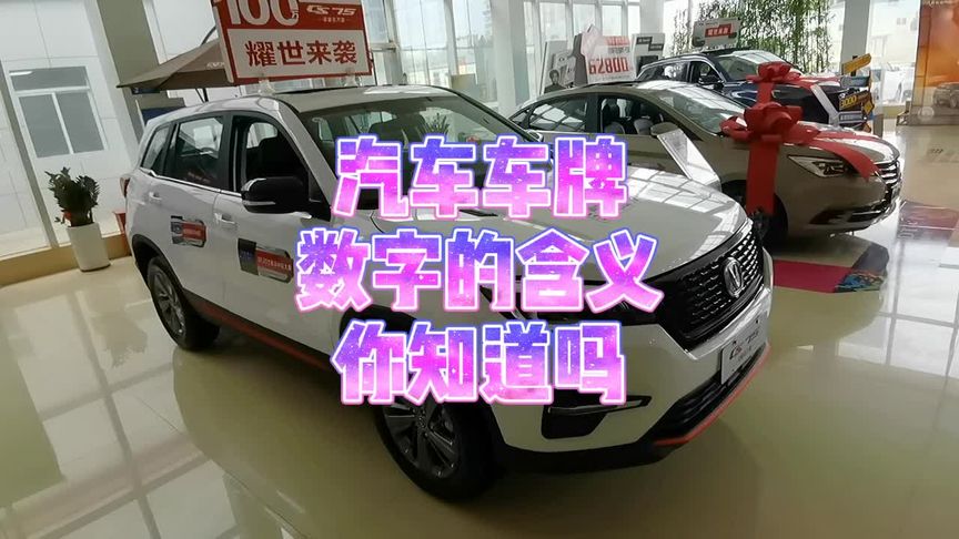 汽车车牌数字的含义,你知道吗?#每天一个用车知识 #荣耀百万