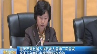 重庆新闻联播 2019 重庆市第五届人民代表大会第二次会议今天下午...