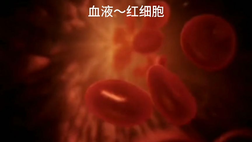 血液科普～红细胞