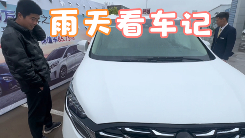 兄弟几个雨天进城看车,相中了七座商务车,这三款该咋选?