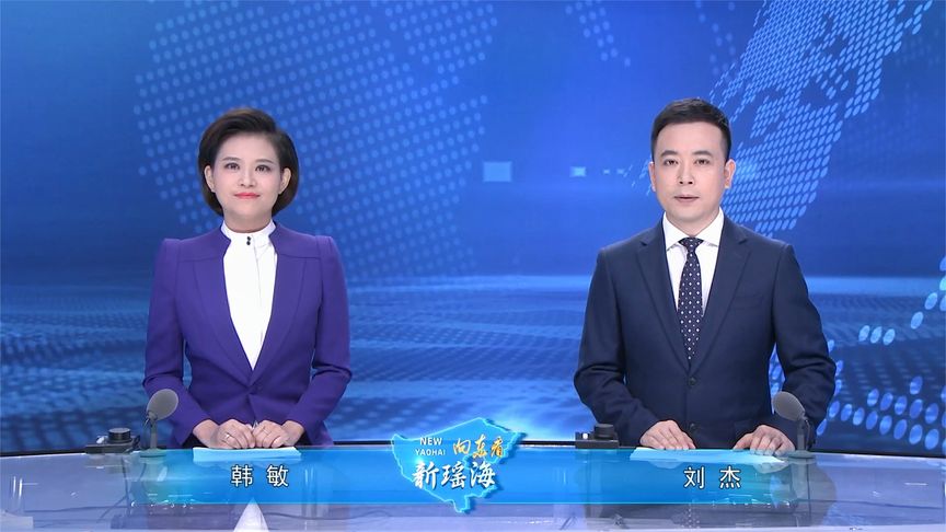 《向东看 新瑶海》17期:加快数字化政府建设 构建社会治理新格局