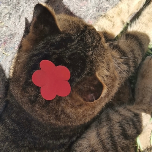 灵犀Natural 