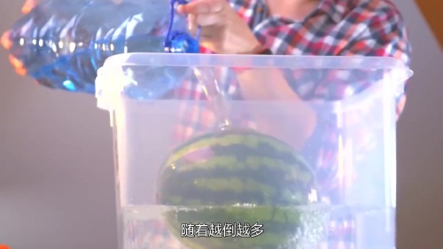 当把苹果泡在水里一年,结果会变成什么?过程令人十分震撼!