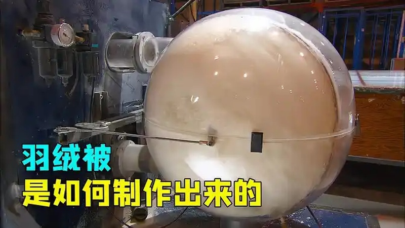 为什么羽绒被要上万,原来制作它需要分离出,羽毛最软的那部分