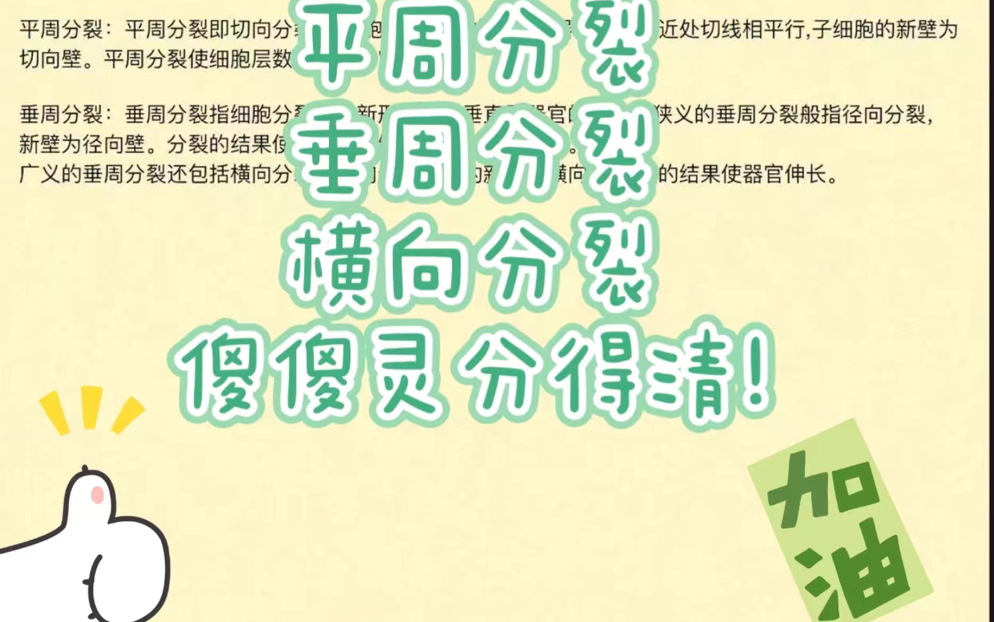 植物学名词解释|平周分裂VS垂周分裂VS横向分裂