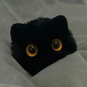 她说的后来居上 