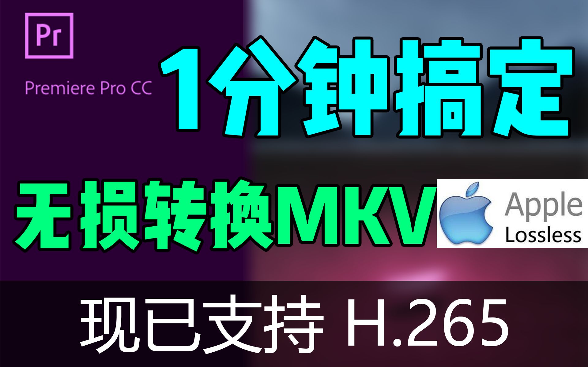 【Pr教程】无损转换MKV并导入Premiere【已支持H.265】